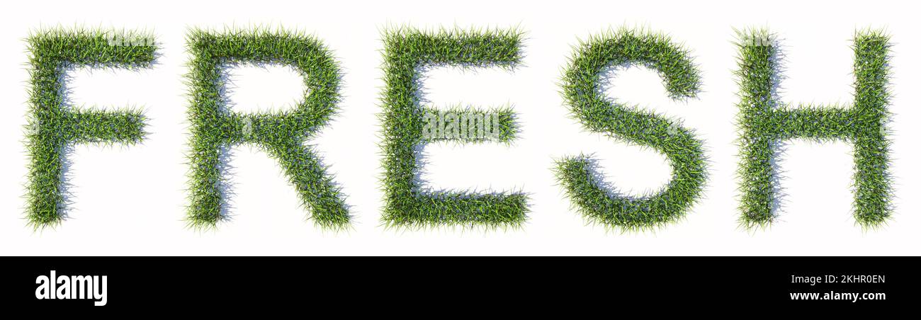 Concept or conceptual green lawn grass forming the FRESH word isolated ...