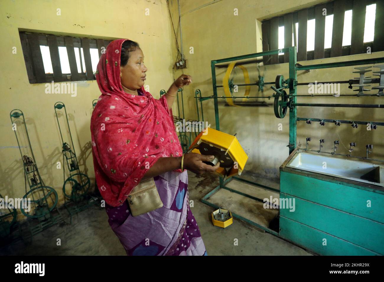Labor Work at yellow silk cocoons produced under a government ...