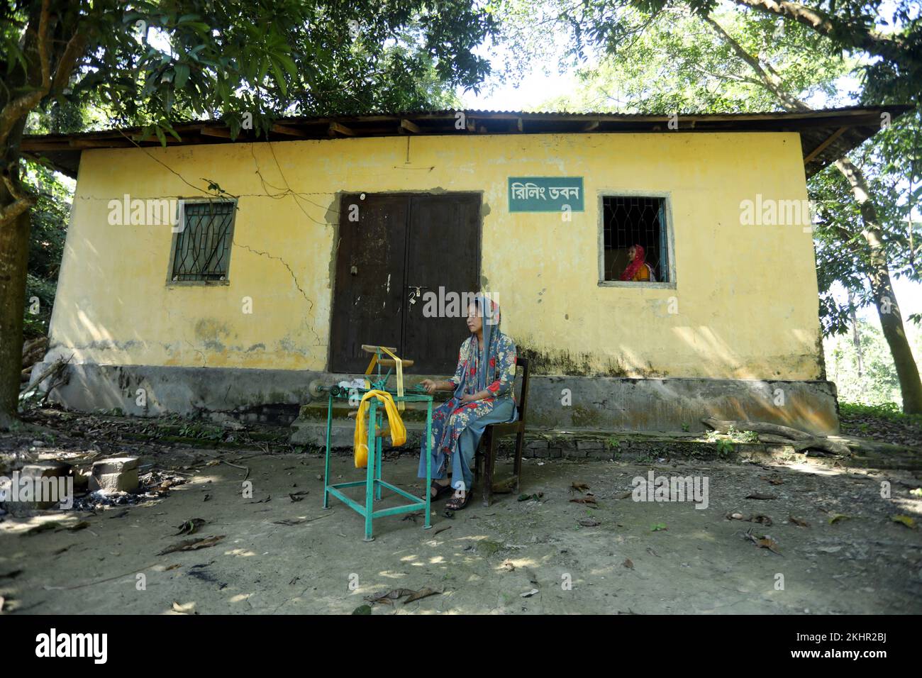 Labor Work at yellow silk cocoons produced under a government ...