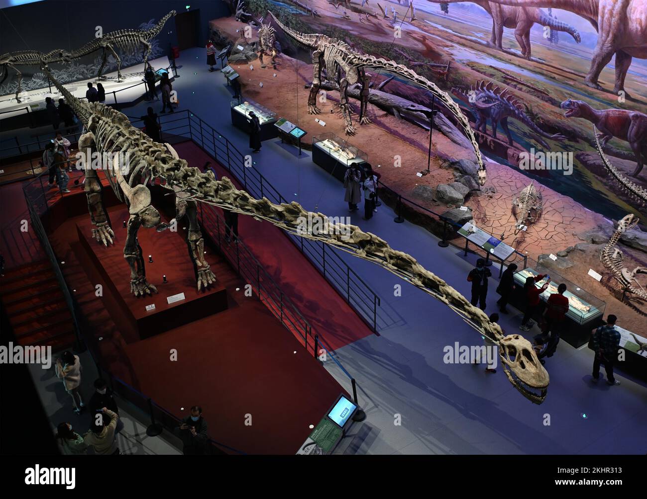 The Chengdu Natural History Museum opens to the public for trial ...