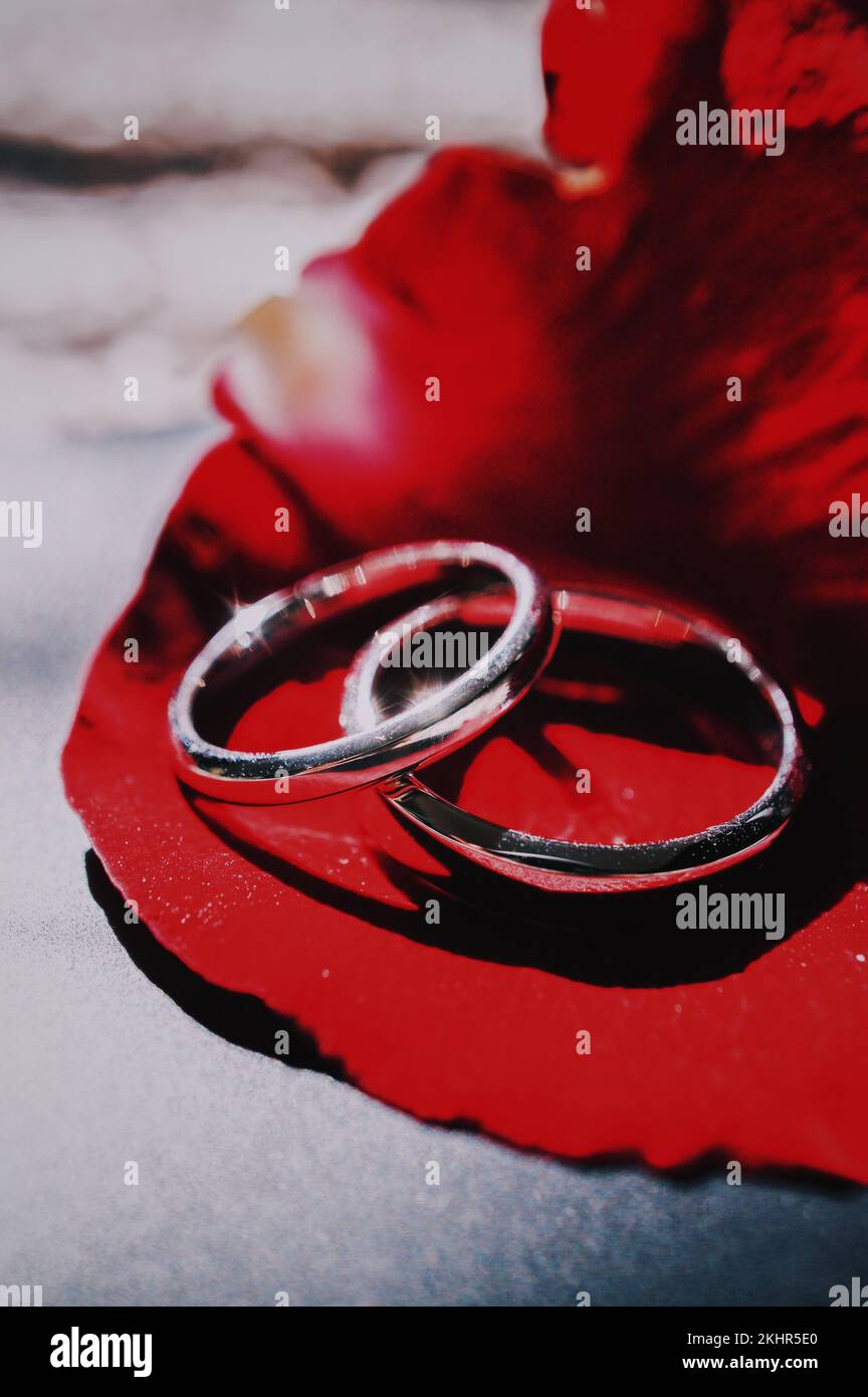 A closeup of rings on a red rose petal Stock Photo - Alamy