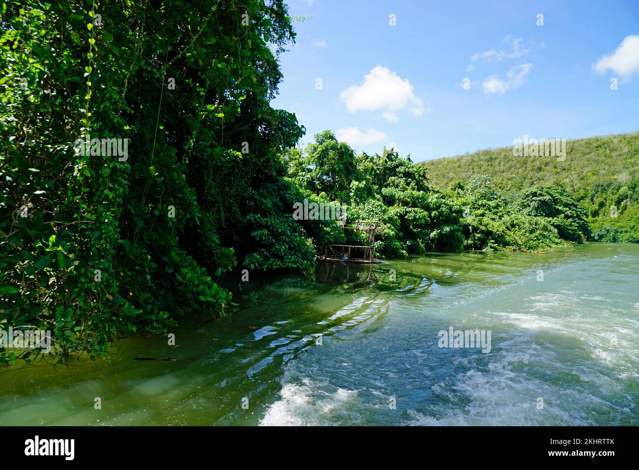tropical landscape at river chavon in the dominican republic Stock ...