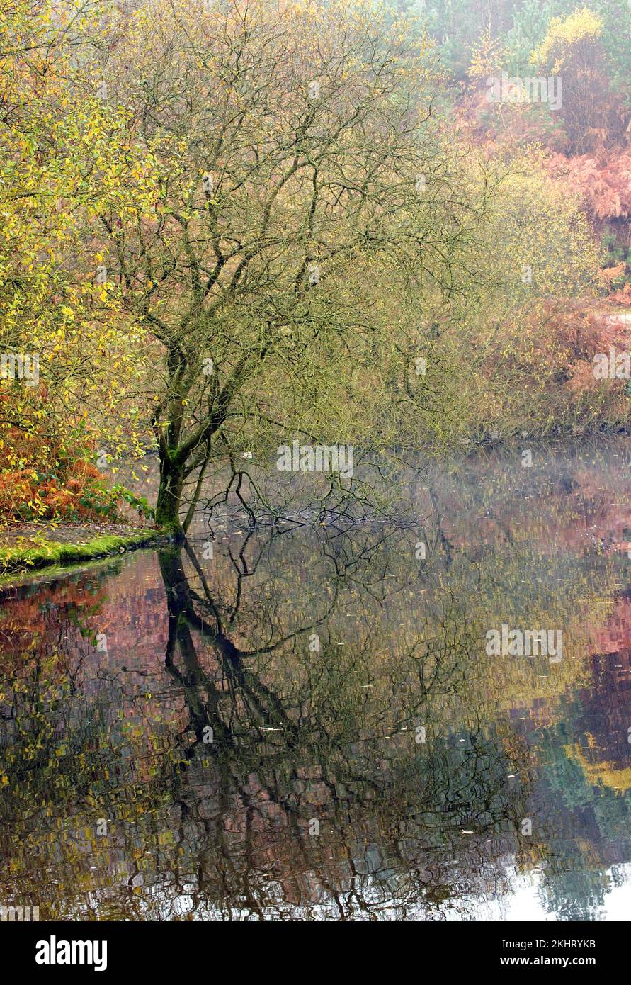 Autumn in Fair Oak valley showing one of the three major forest pools ...