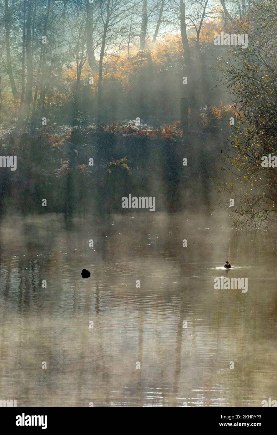 Autumn in Fair Oak valley showing one of the three major forest pools ...