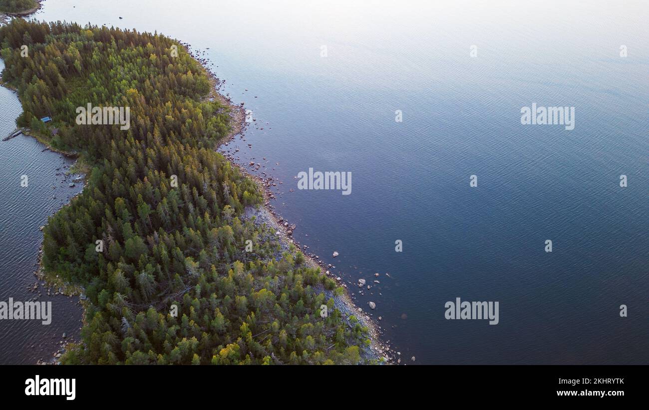 An aerial view of the Finnish Archipelago with dense evergreen trees ...