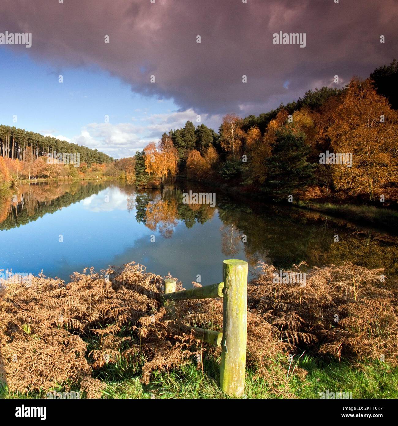 Fair Oak pool in late autumn Cannock Chase AONB (area of outstanding ...