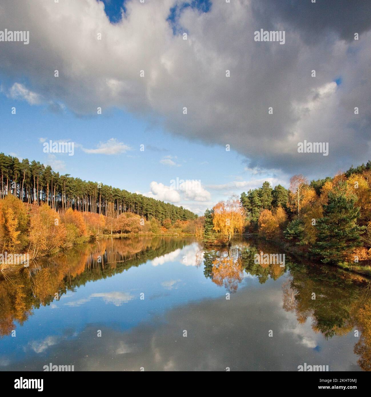 Fair Oak pool in late autumn Cannock Chase AONB (area of outstanding ...