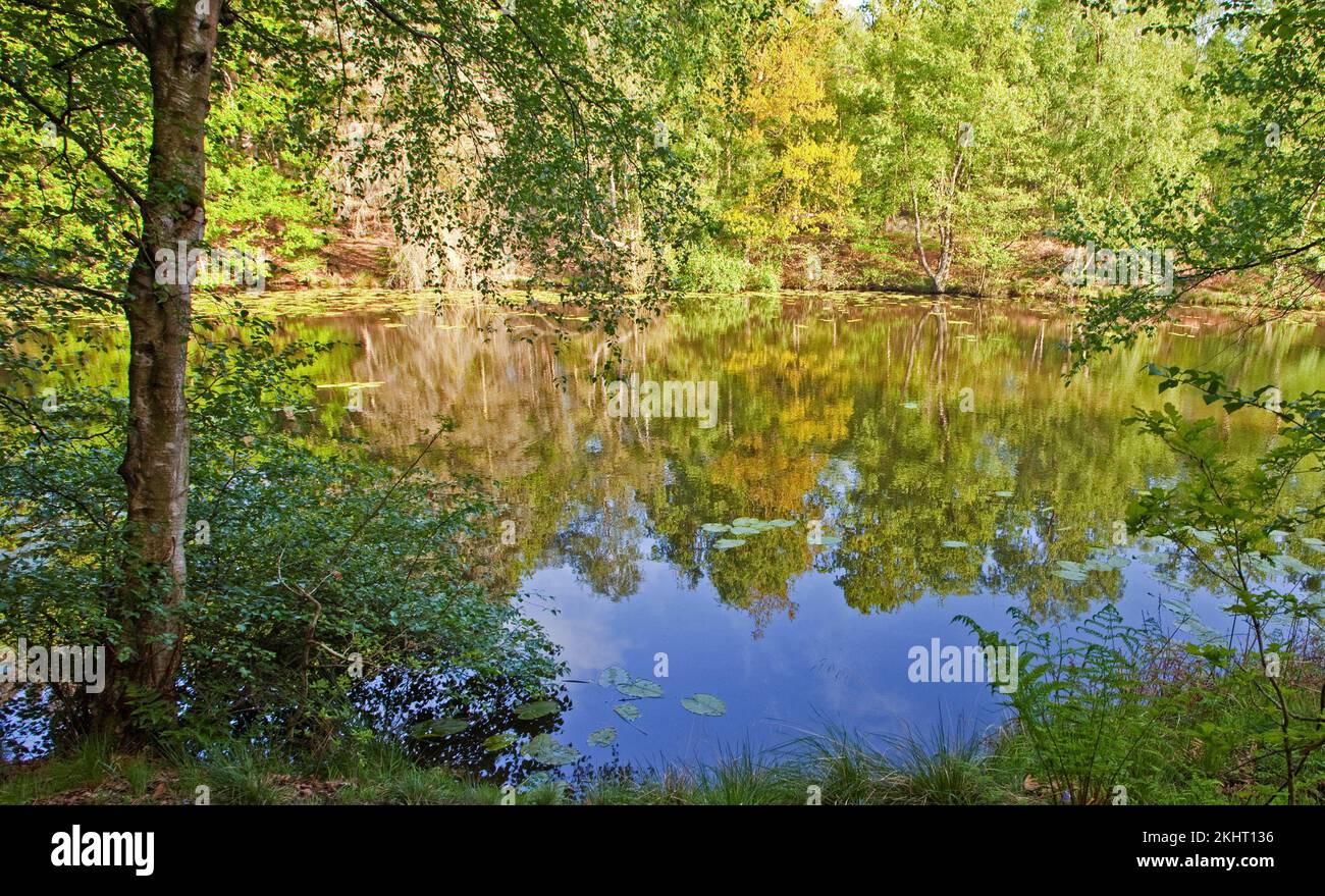 Horsepasture pools in May Cannock Chase AONB (area of outstanding ...