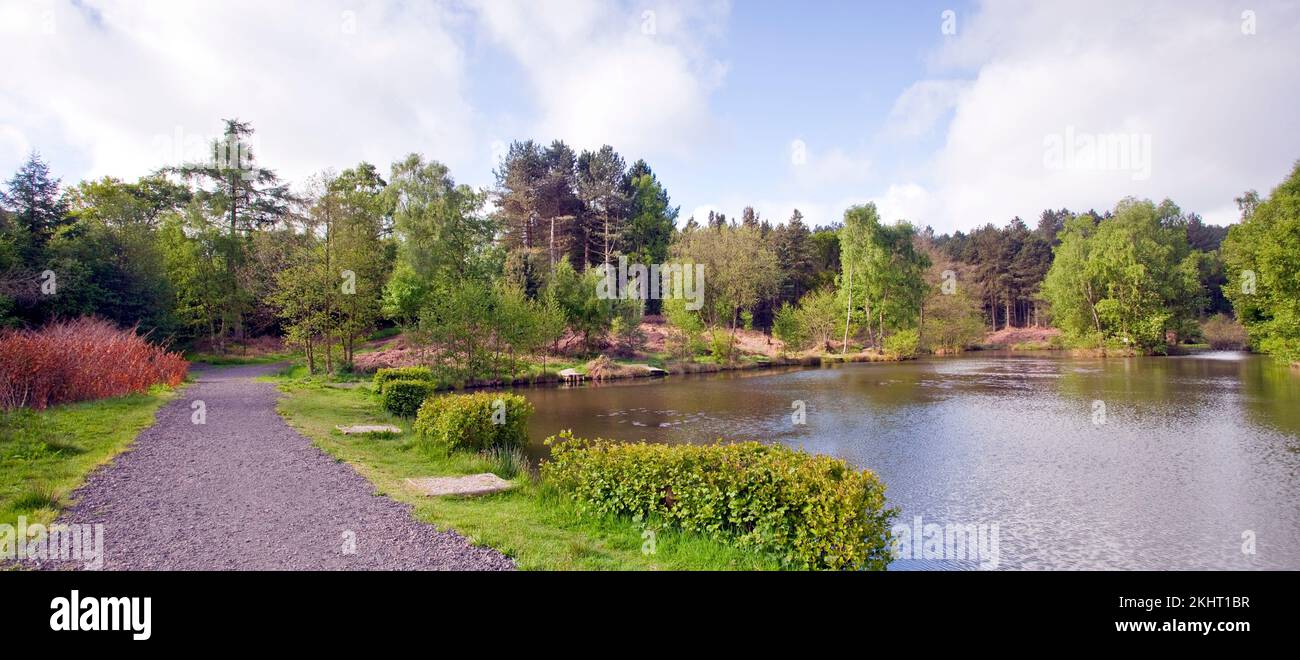 Horepasture pools in May Cannock Chase AONB (area of outstanding ...