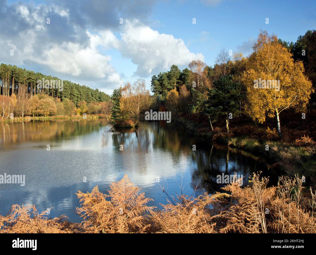 Stunning autumnal hues tints and colour from trees reflected in the ...