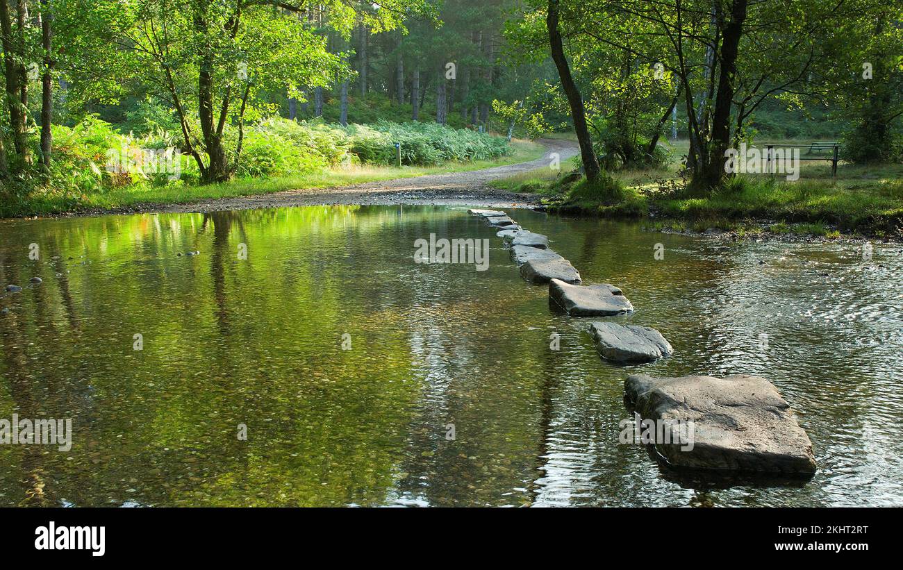Sherbrook valley trail cannock chase hi-res stock photography and ...