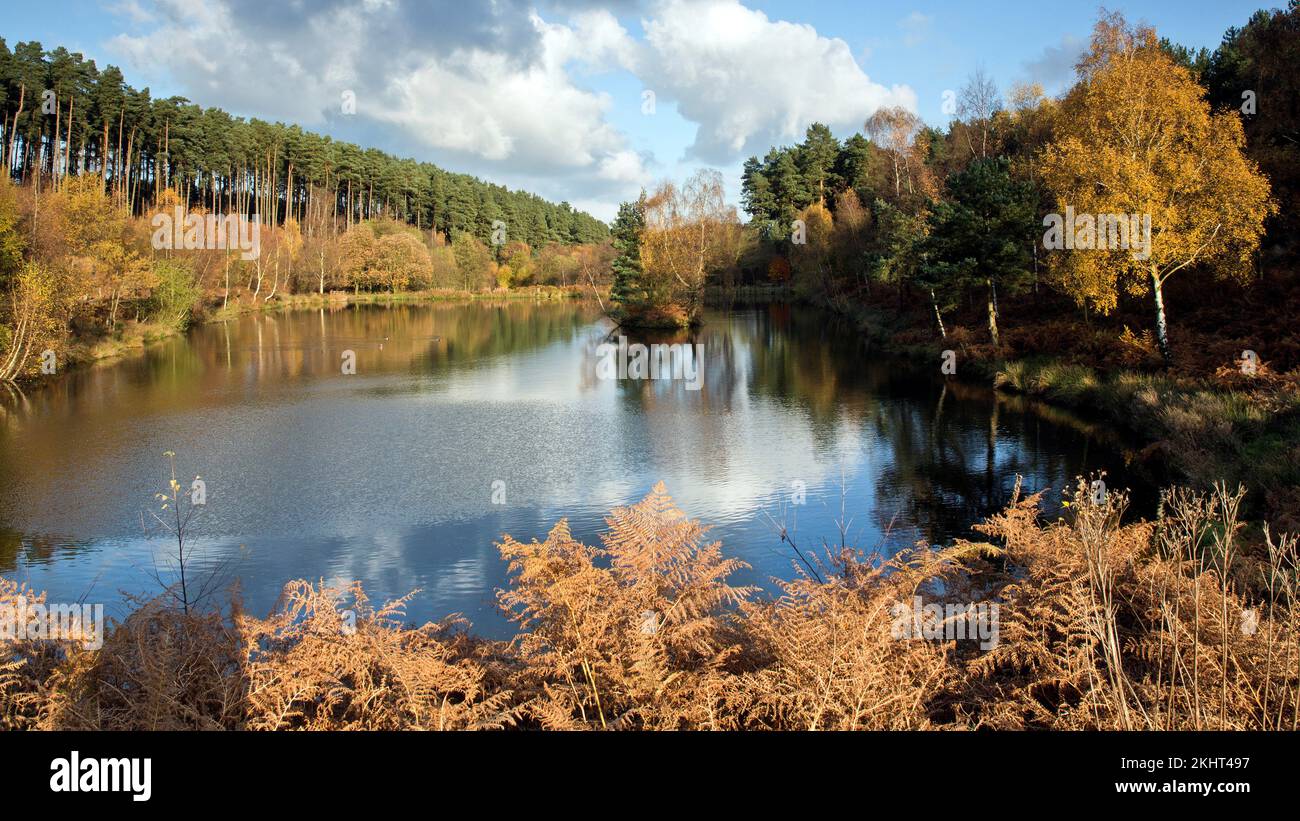 Stunning autumnal hues tints and colour from trees reflected in the ...