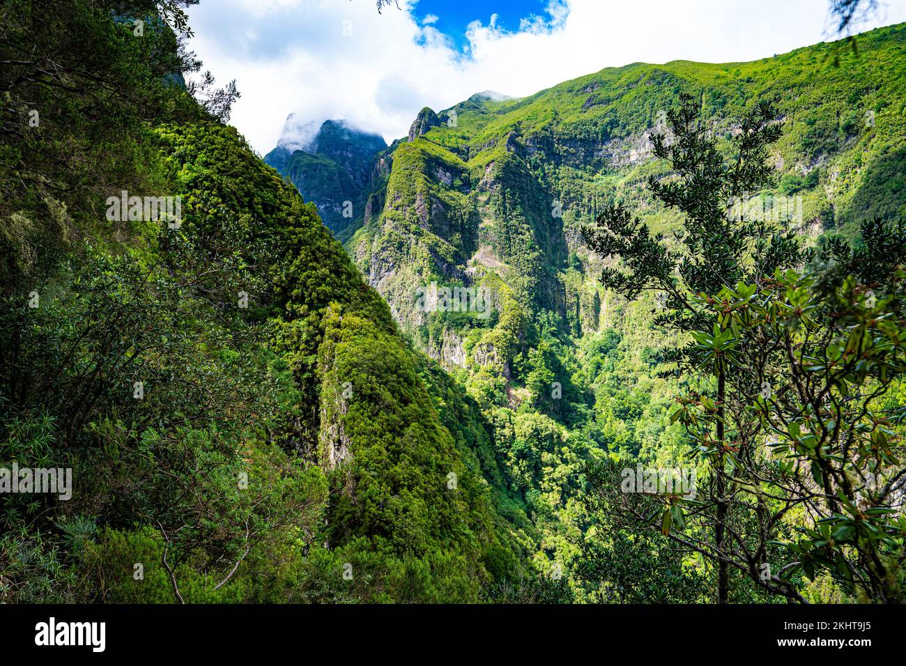 Caldeirao Verde, one of the most beautiful levadas on the island ...