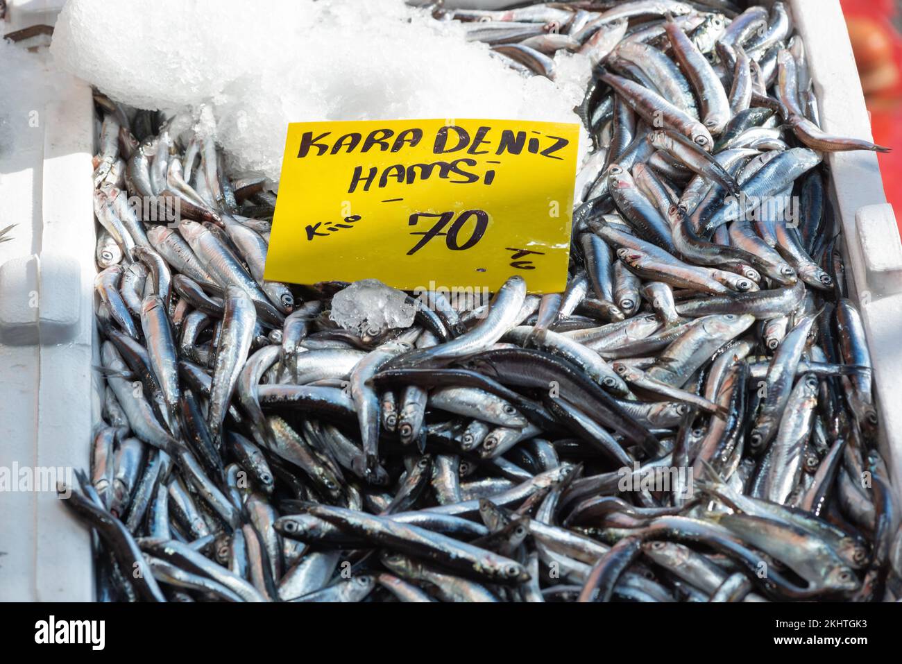 A sign advertising Black Sea Hamsi a type of Anchovy fish, for seventy ...