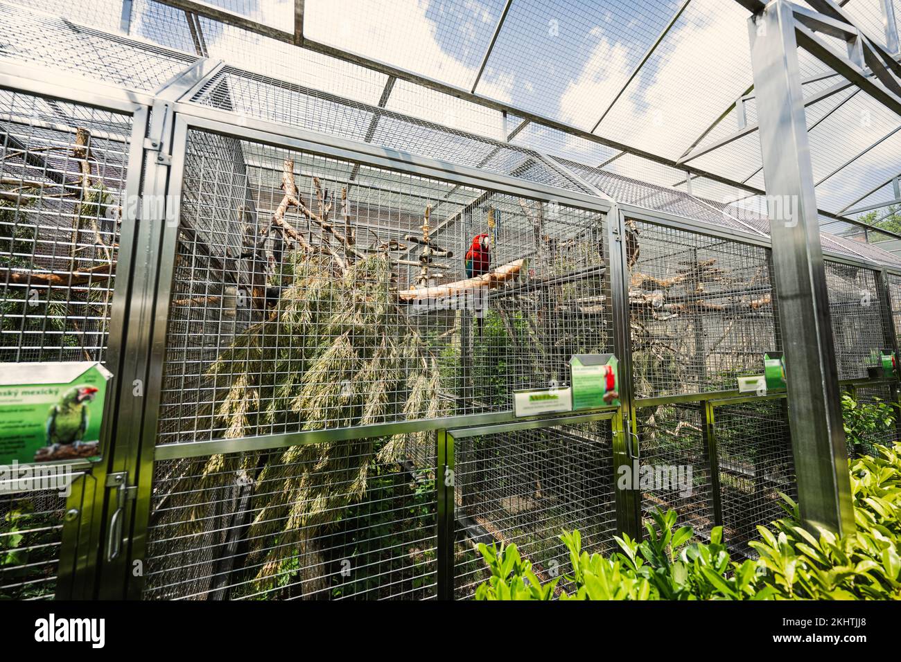 Girl feeding parrot in cage hi-res stock photography and images - Alamy