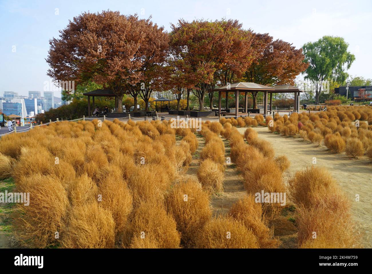 Haneul Park, World Cup Seoul Park, Seoul, South Korea Stock Photo - Alamy