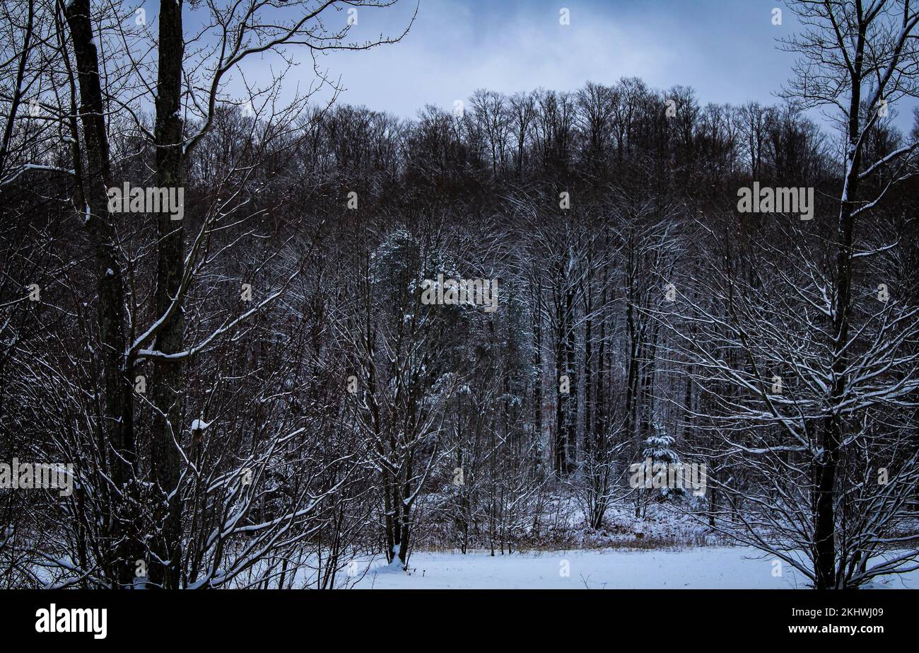 Beautiful snowfall on clouds hi-res stock photography and images - Alamy