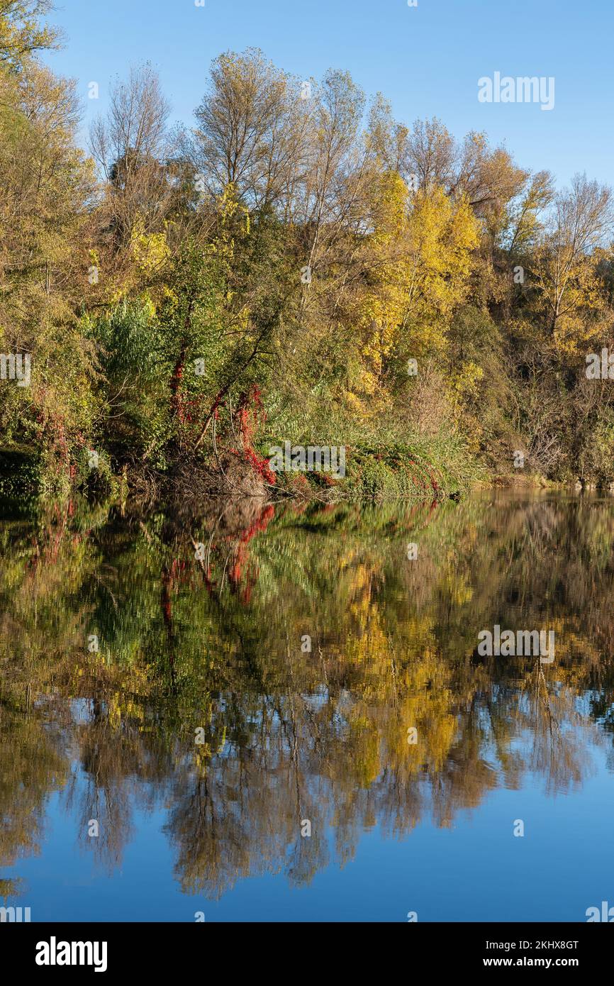 Scenic autumn landscape with reflection in Gardon river of trees in ...