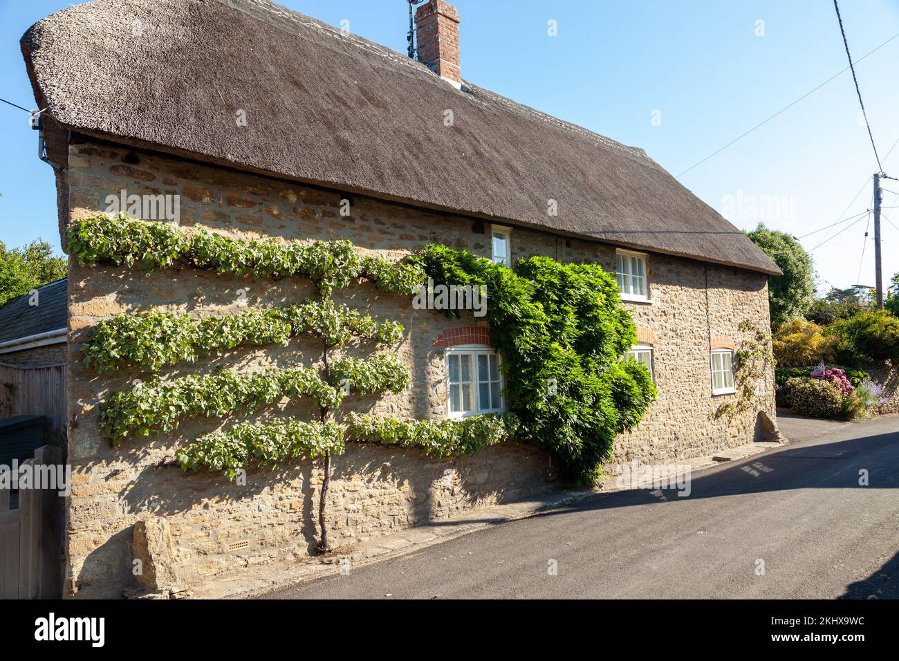 Traditional thatched houses in the beautiful village of Burton ...