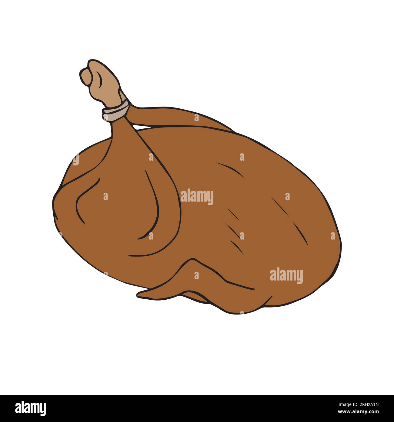 Vector hand drawn doodle sketch colored turkey isolated on white ...