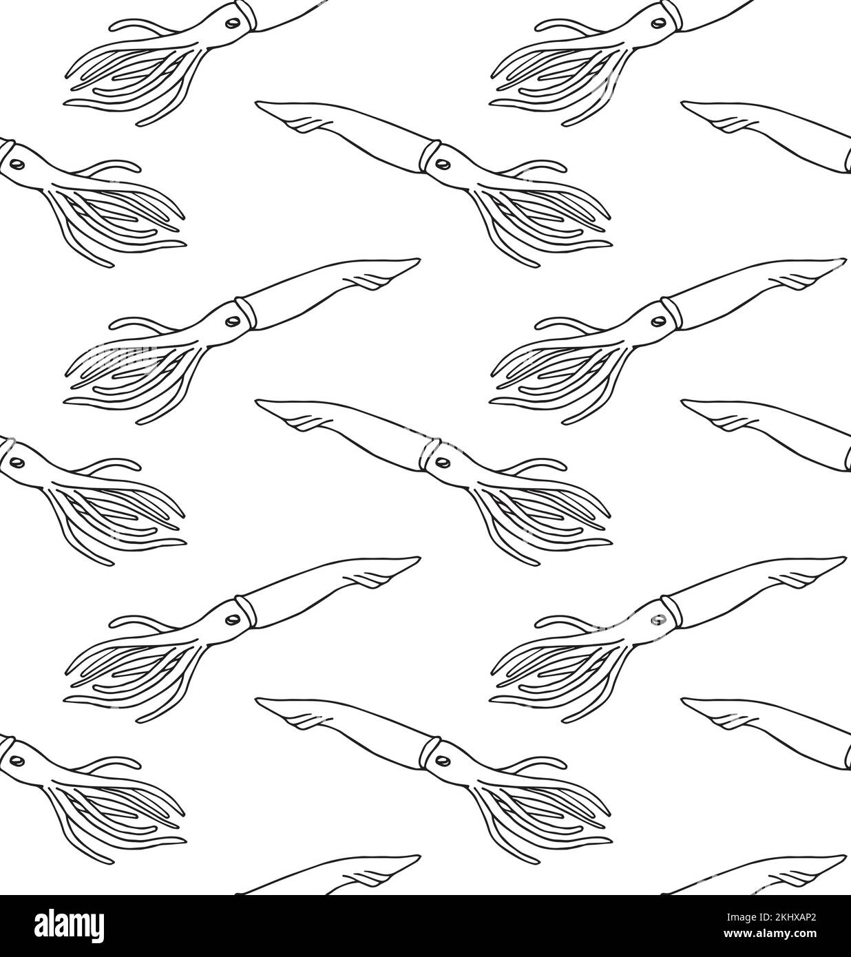 Vector seamless pattern of hand drawn sketch doodle squid isolated on ...