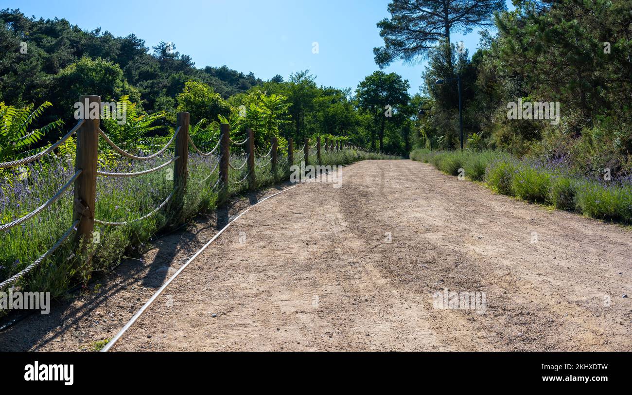 Ataturk kent ormani park hi-res stock photography and images - Alamy