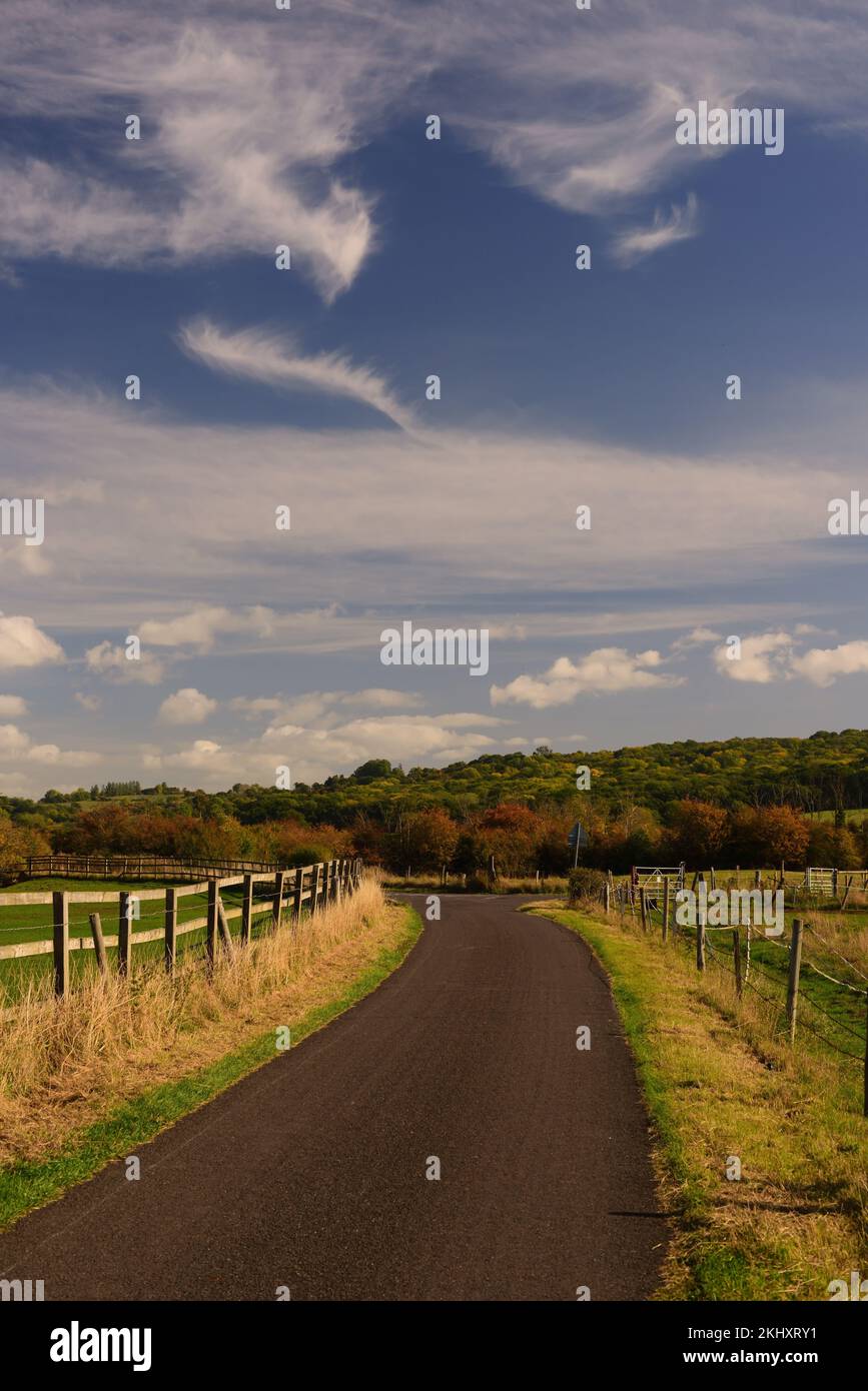 Lined with fence hi-res stock photography and images - Alamy