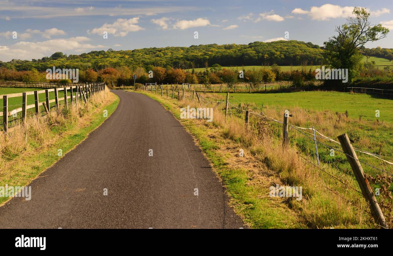 Traffic free country lane hi-res stock photography and images - Alamy