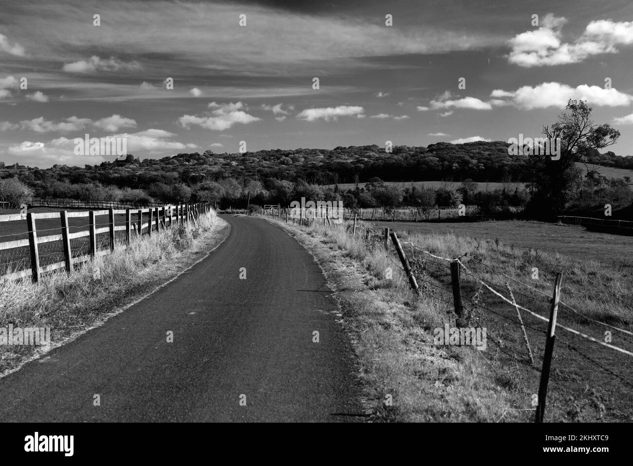 Country lane Black and White Stock Photos & Images - Alamy