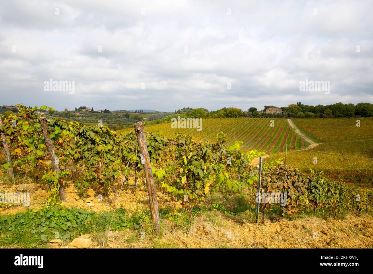 Casa Emma Winery Chianti Italy Stock Photo - Alamy