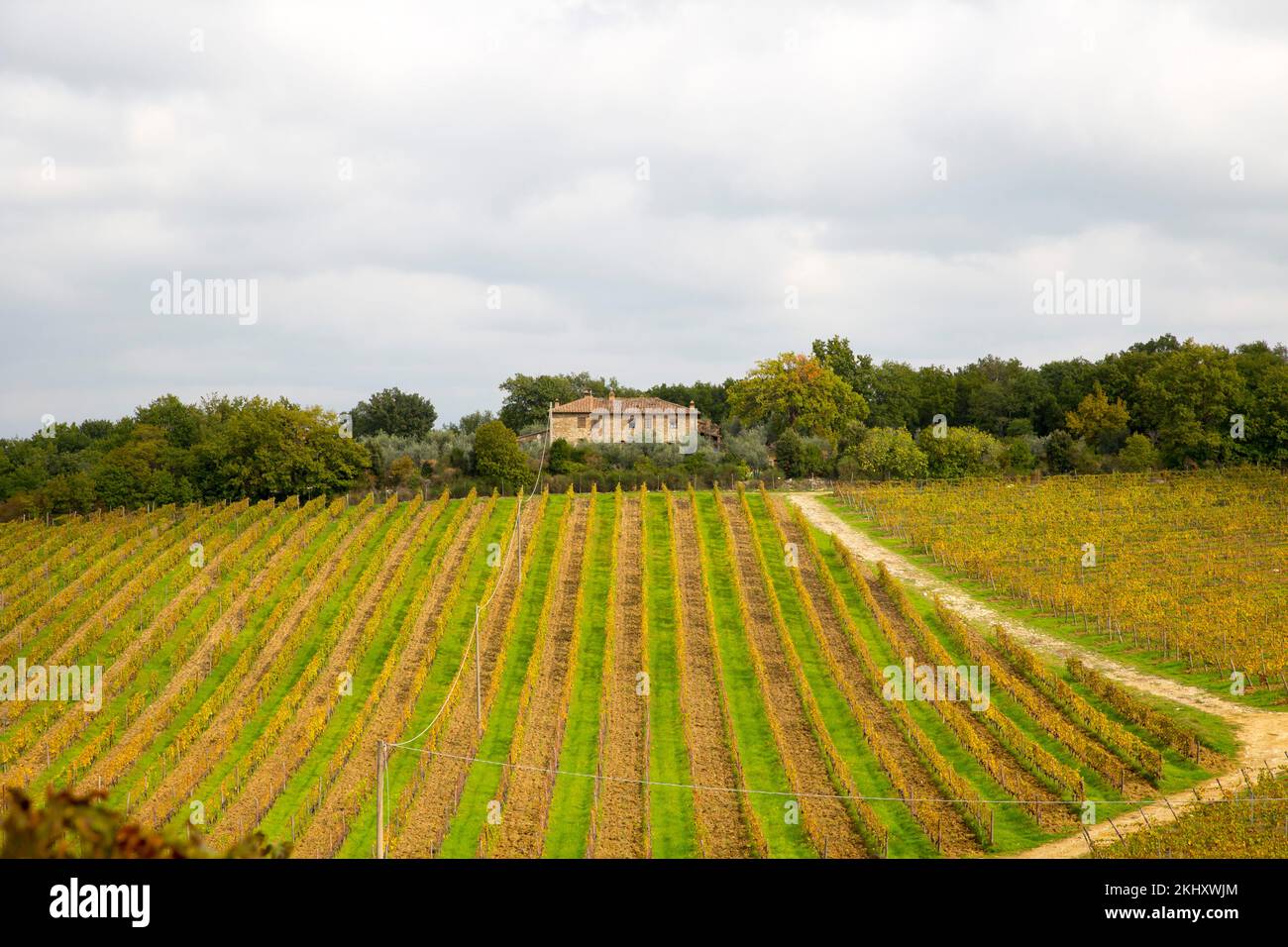 Casa emma winery hi-res stock photography and images - Alamy