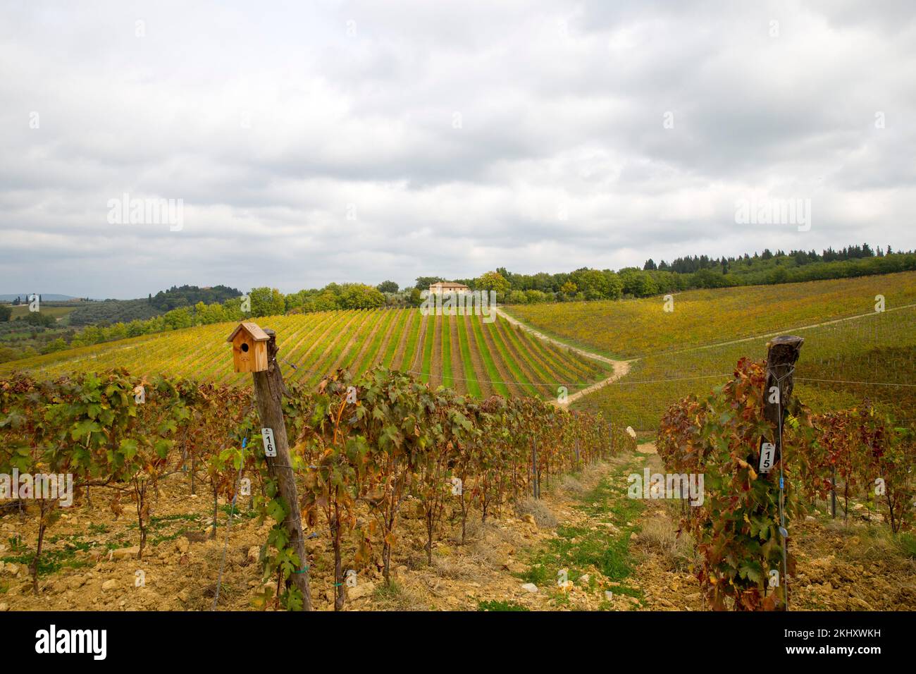 Casa emma winery hi-res stock photography and images - Alamy