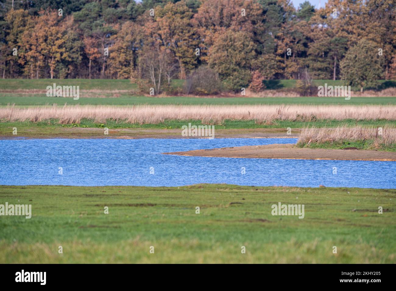 Dersum, Germany. 24th Nov, 2022. View of the newly created roosting ...