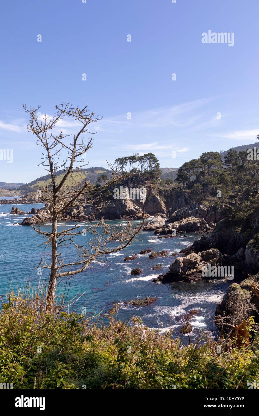 scenic coastal landscape at Point Lobos at State route No 1 in ...
