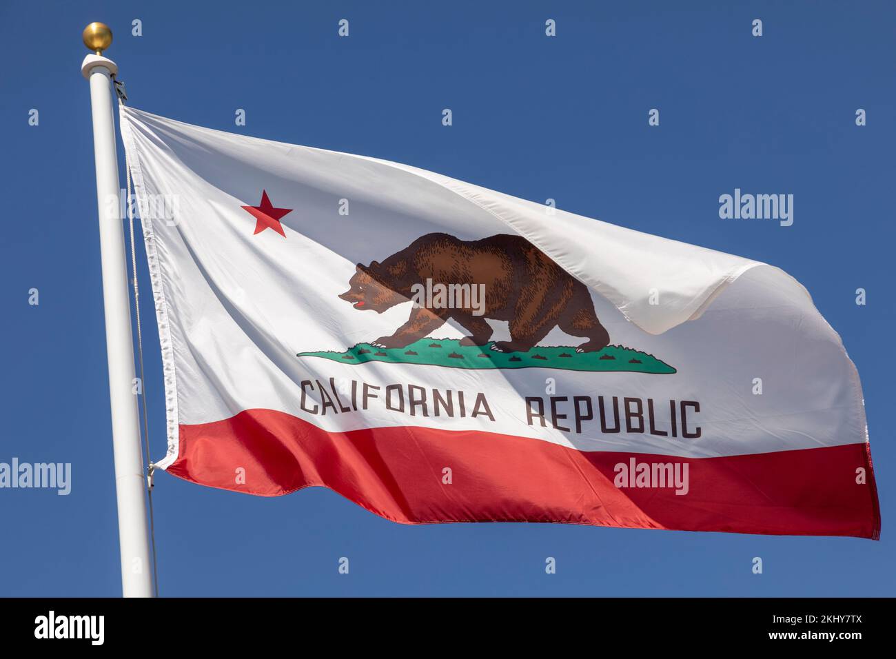 california flag with the bear as symbol for California, USA Stock Photo ...