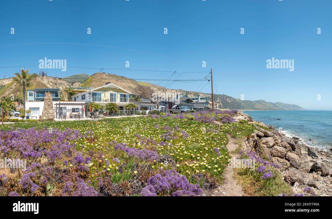 scenic landscape with blooming spring flowers at the coast and houses ...