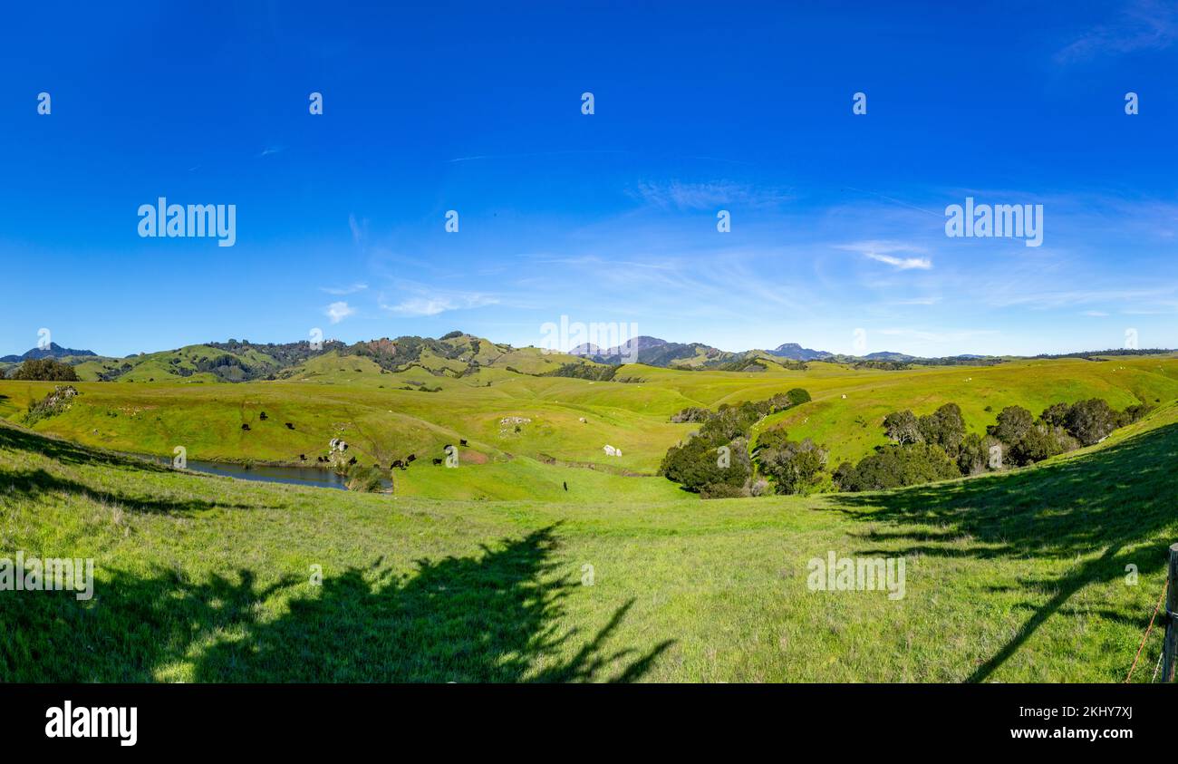 scenic landscape at Cambria, Cabrillo Highway, Big Sur, California, USA ...