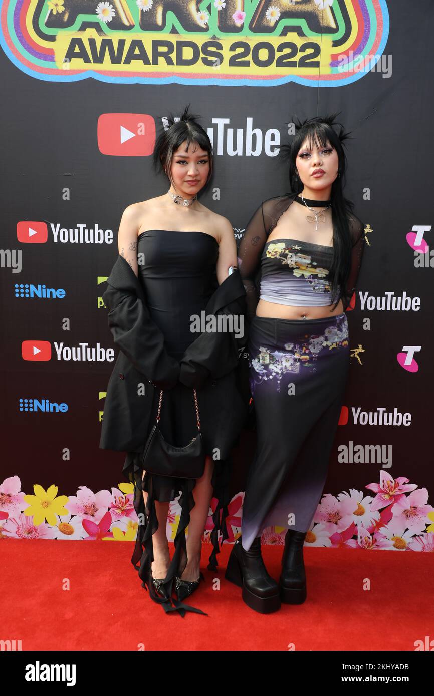 Cat and calmell hi-res stock photography and images - Alamy