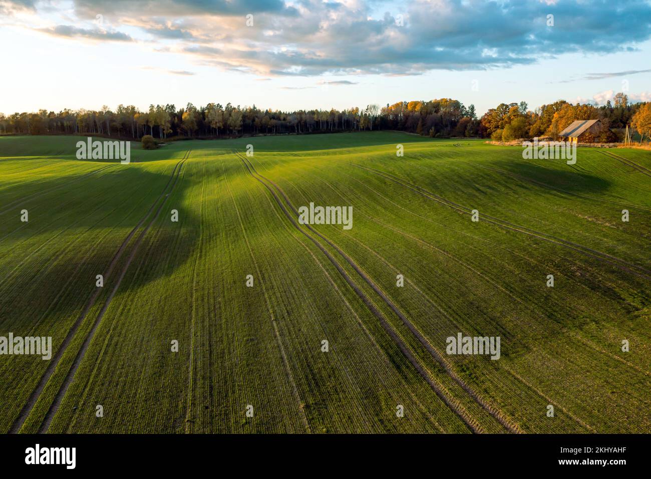 Aerial view of beautiful countryside with green rolling field in golden ...