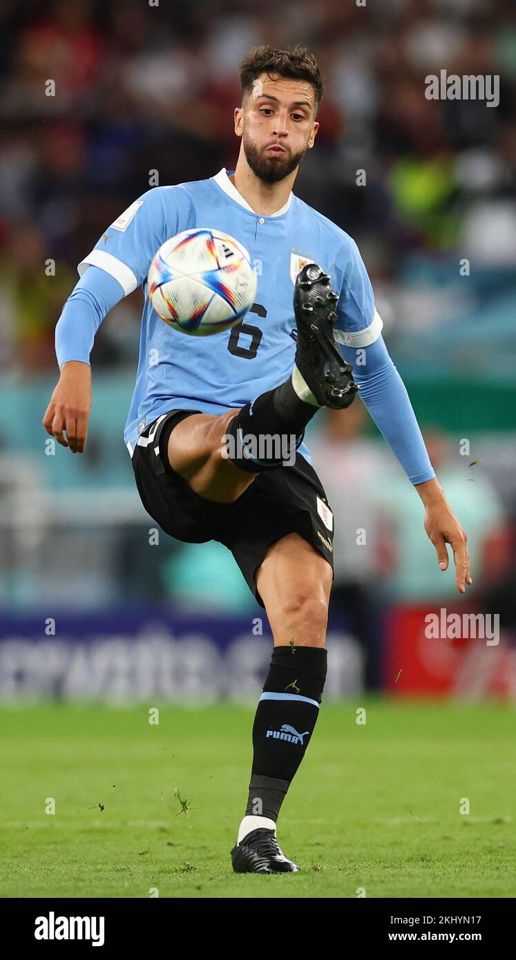 Ar Rayyan, Qatar. 24th Nov, 2022. Rodrigo Bentancur of Uruguay during ...