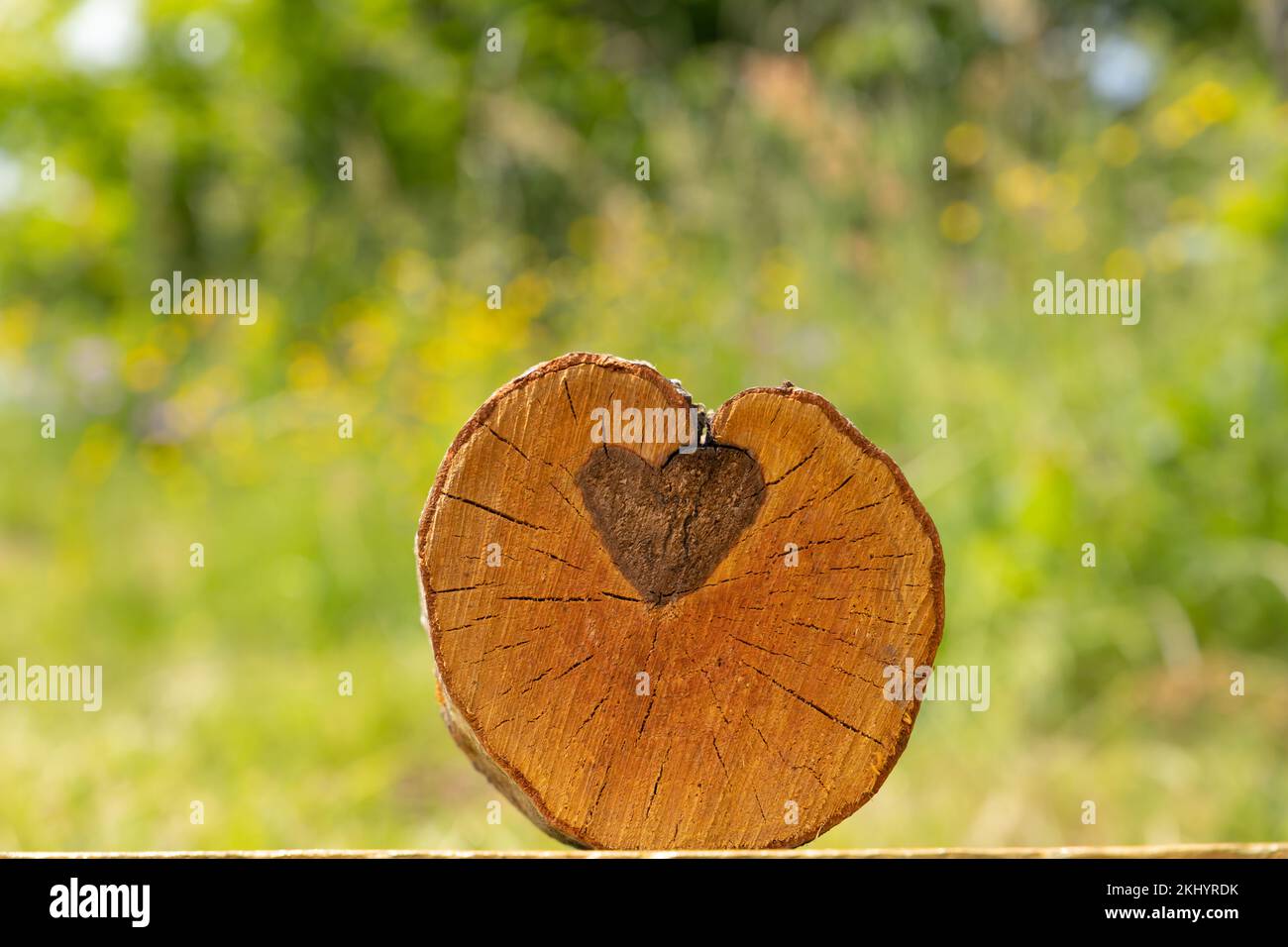 Carve tree stump hi-res stock photography and images - Alamy