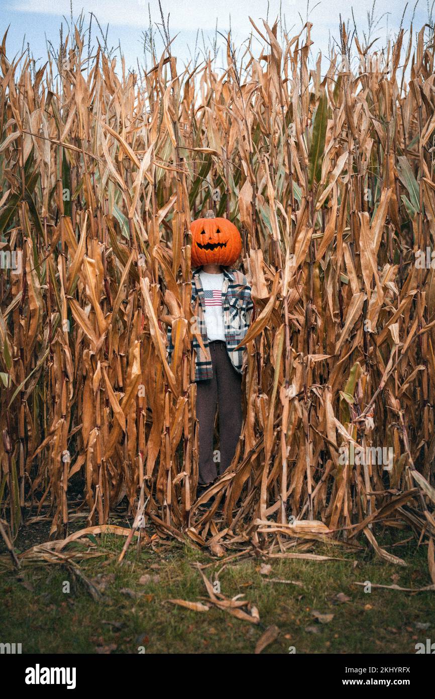 A vertical view of person in a field corn dressed at a scarecrow Stock ...