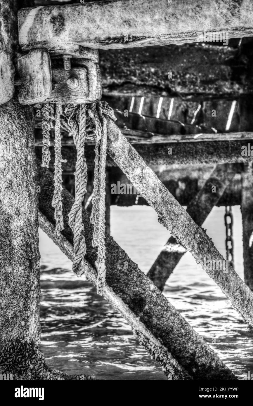 A vertical grayscale of hanging ropes from the lower part of a dock ...