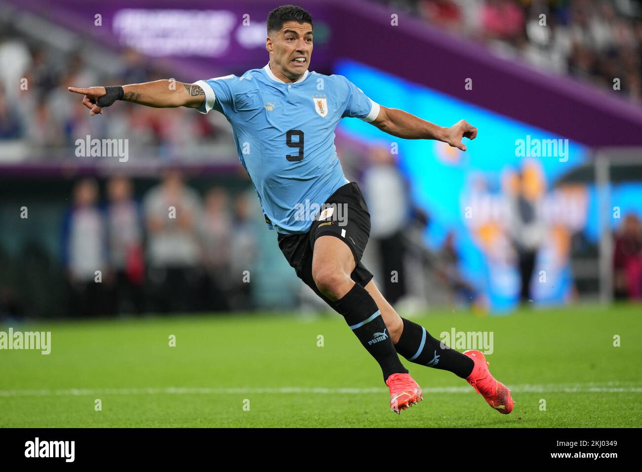 Luis Suarez of Uruguay during the Qatar 2022 World Cup match, group H ...