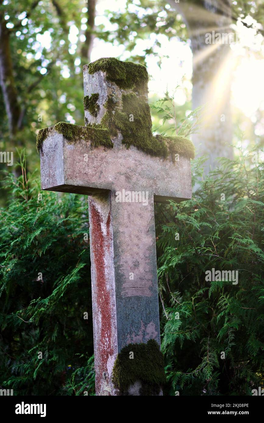 A vertical shot of a concrete cross covered in moss in an old cemetery ...