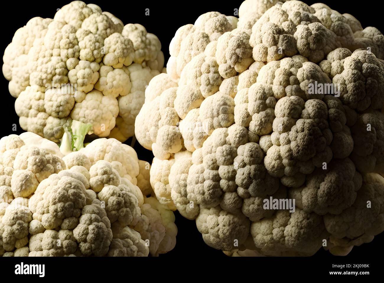 A closeup shot of a fresh cauliflower Stock Photo - Alamy