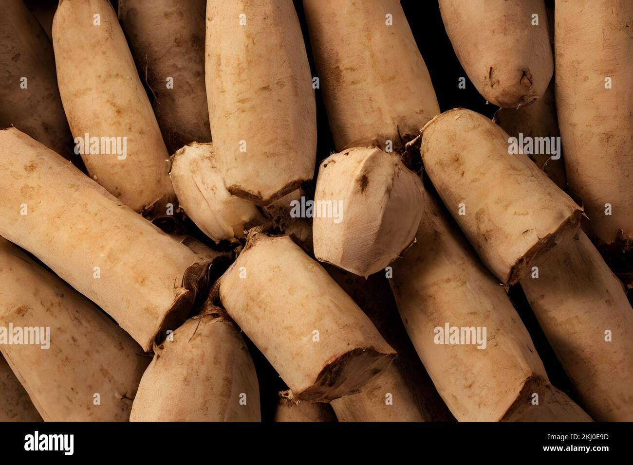 Cassava vegetable hi-res stock photography and images - Alamy