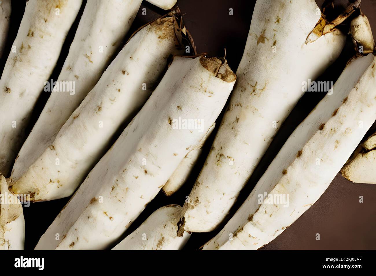 A closeup shot of a pilled cassava vegetable Stock Photo - Alamy