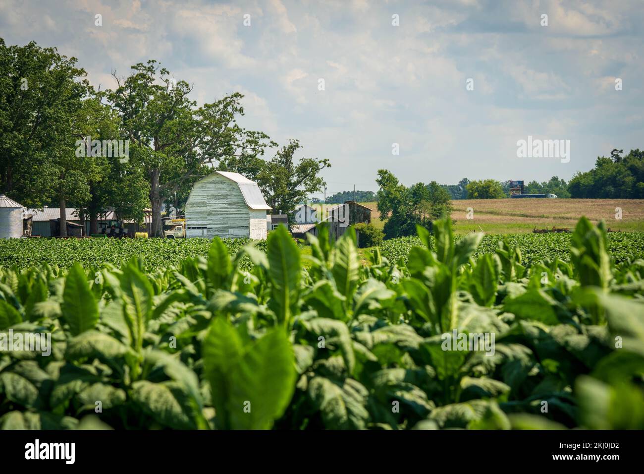 farmer's landscape in Virginia with farming barn Stock Photo - Alamy