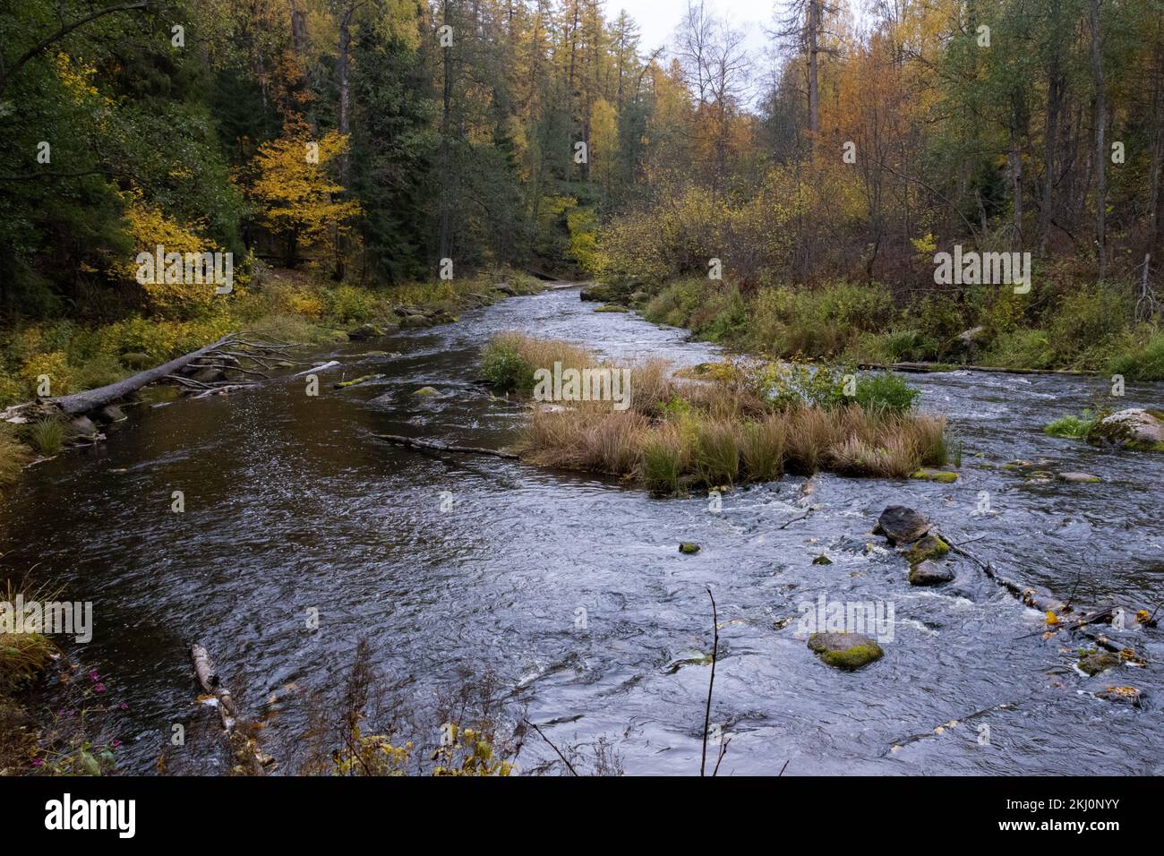 Pine river hi-res stock photography and images - Alamy
